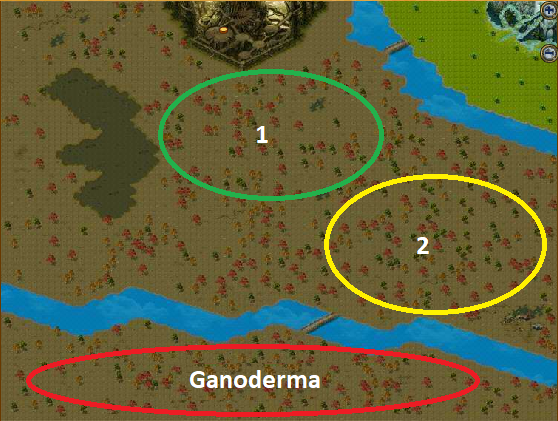 Hunting Guide | ZephyrConquer